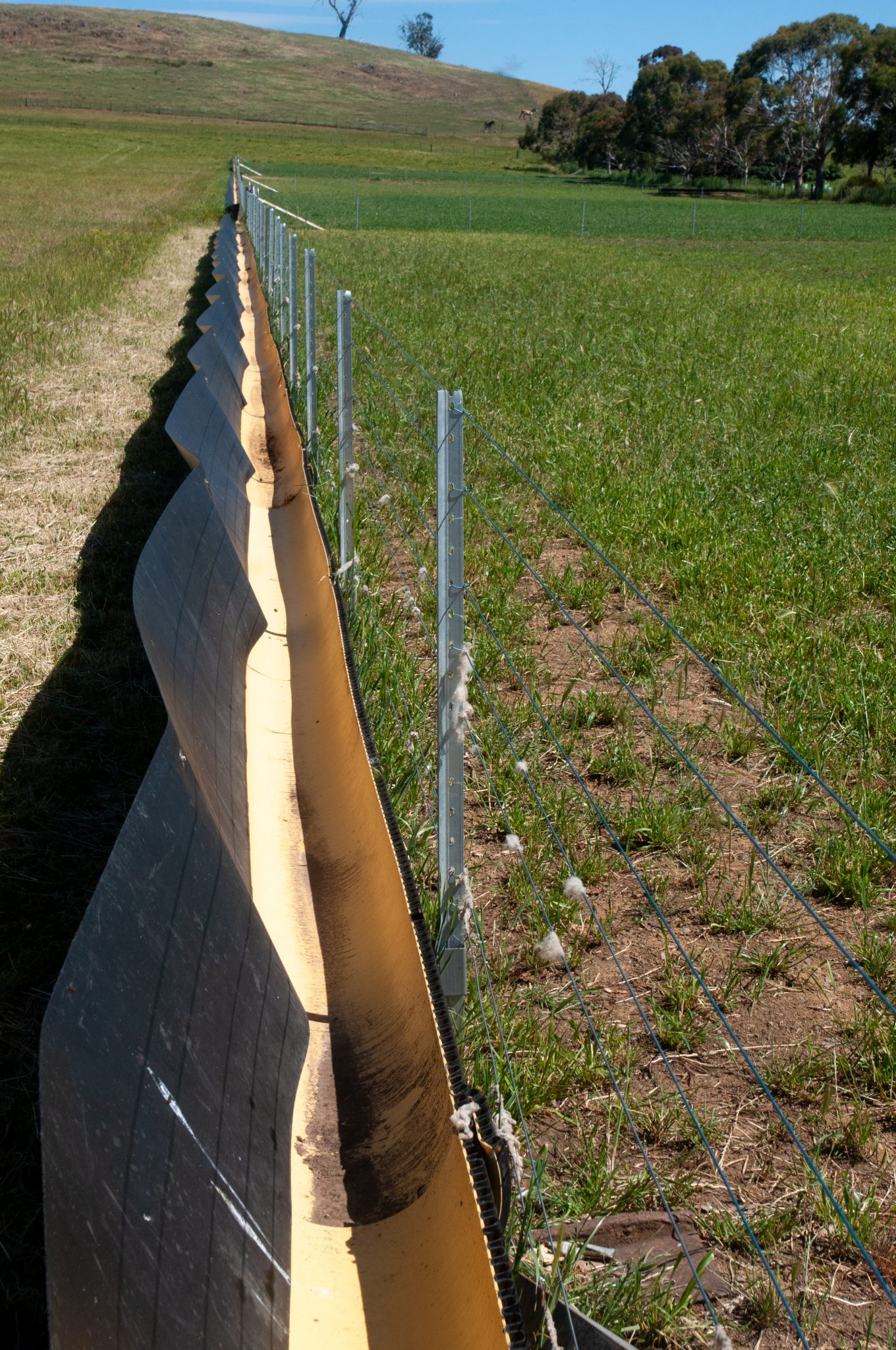 Showcasing the benefits of drought lotting - NRM South