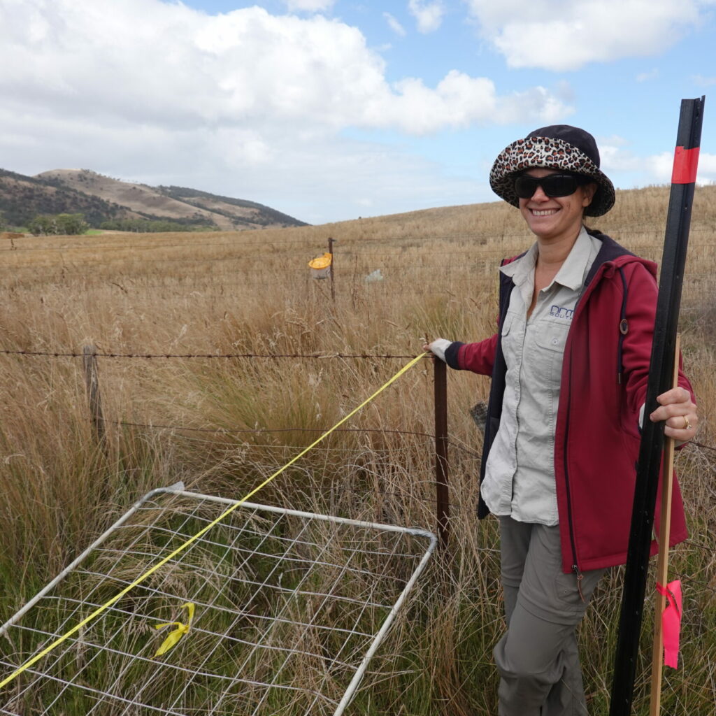 Who should you call? Gorse-busters! - NRM South