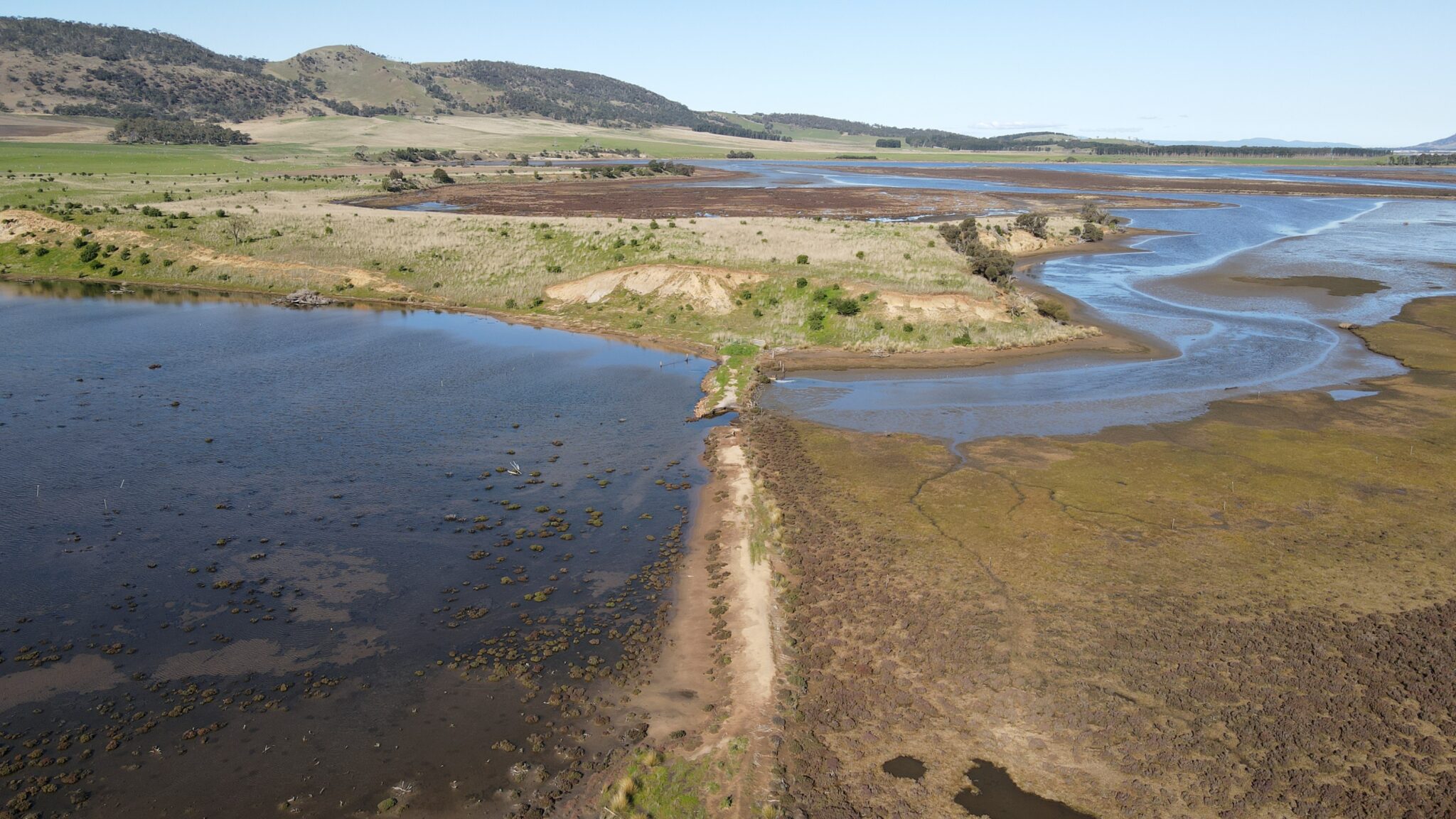 How hydrological restoration affects coastal saltmarsh regeneration and ...