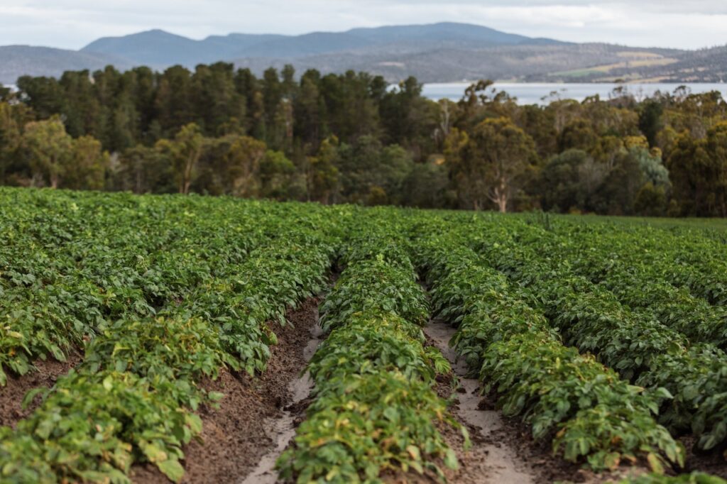 Farming Forecaster Tasmania - Supporting Farmers for Drought Resilience ...