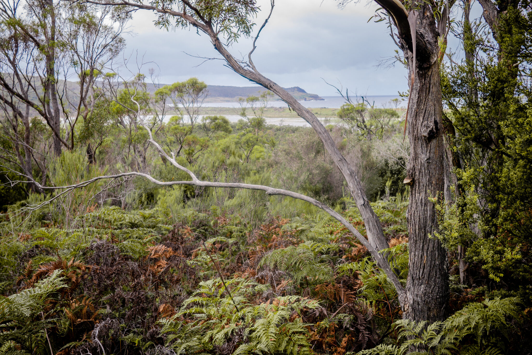 Farming Forecaster Tasmania - Supporting Farmers for Drought Resilience ...